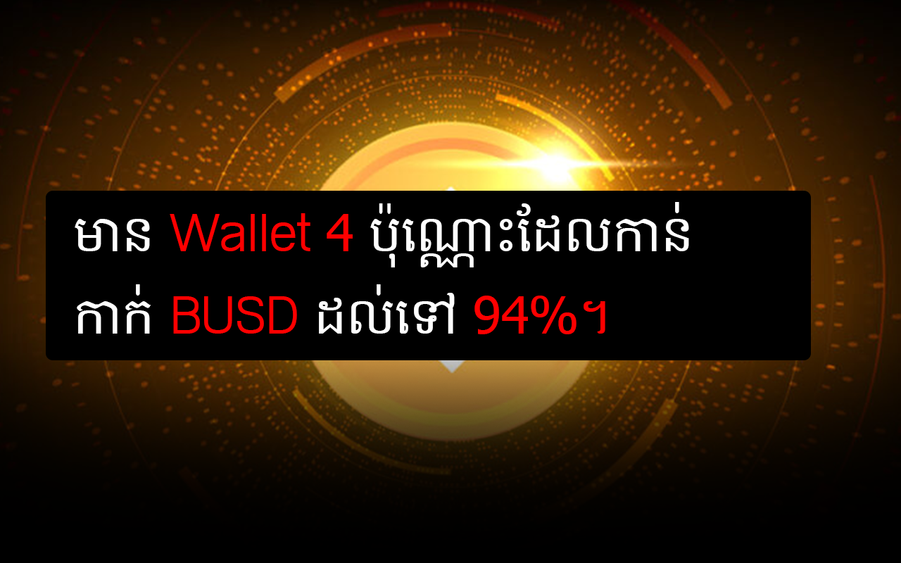 94% នៃកាក់ BUSD គ្រប់គ្រងដោយWallet តែ4ប៉ុណ្ណោះតើគួរបារម្ភទេ - khrypto