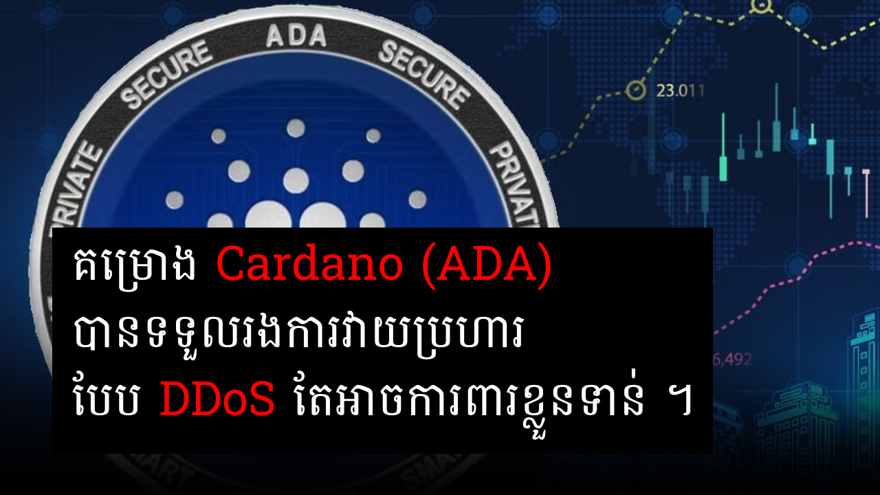 គម្រោង Cardano បានទទួលរងនូវការវាយប្រហារបែប DDoS - khrypto